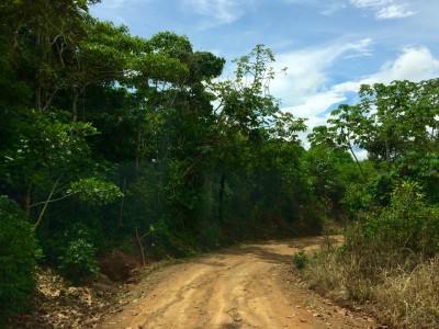 Discovering The Real Costa Rica » Traveling Bytes