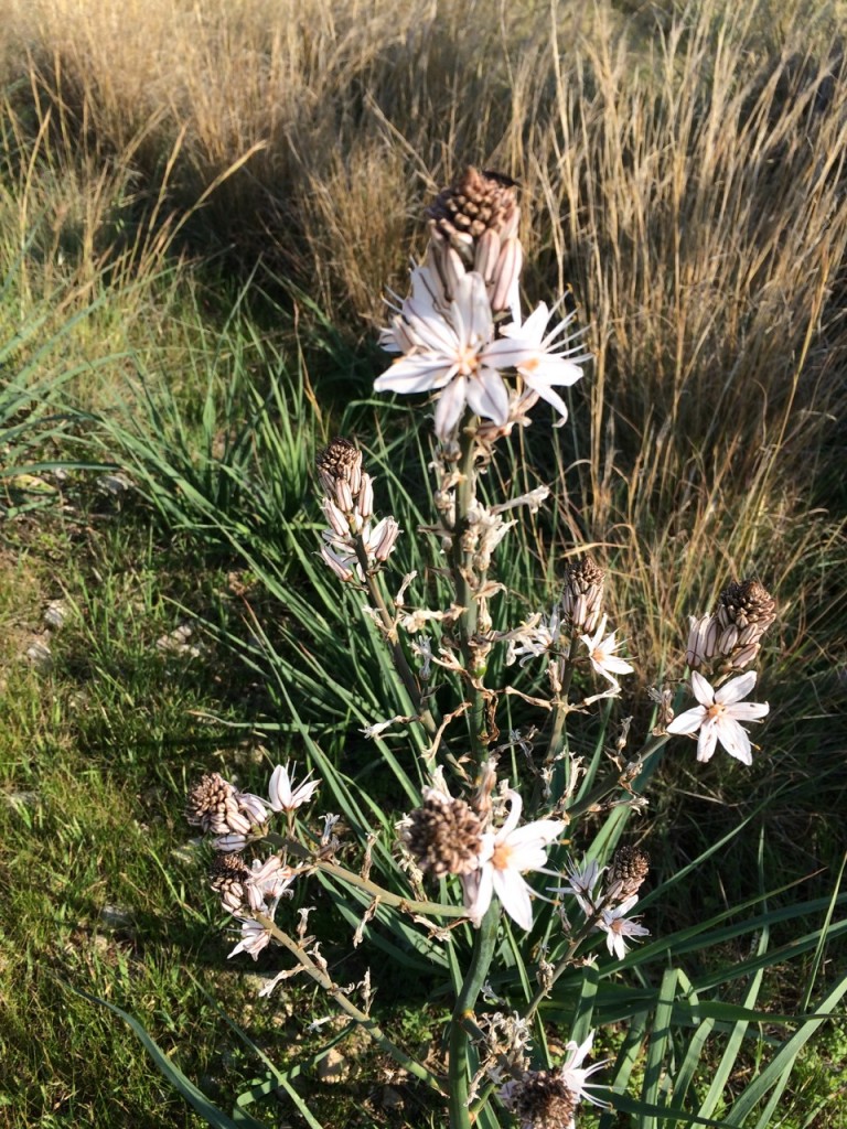 Cyprus On Foot: Hiking Along The Coast » Traveling Bytes