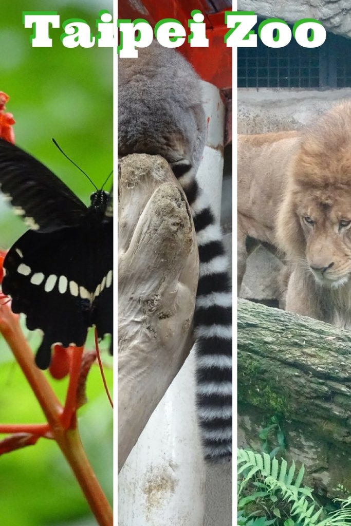 Lost in Taipei Zoo » Traveling Bytes