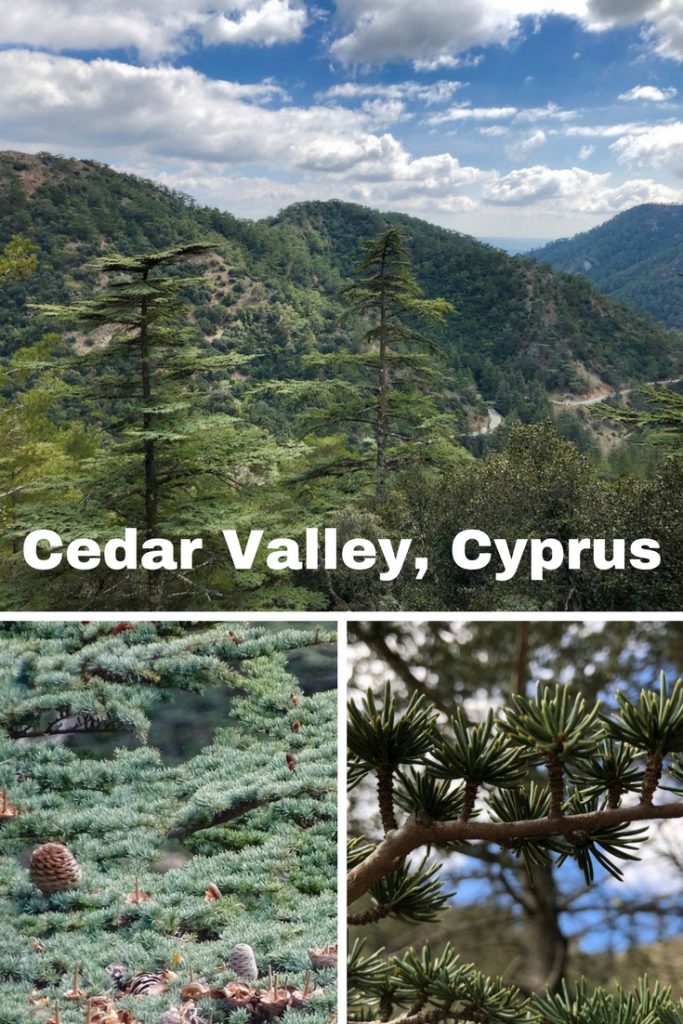 Cedar Valley, An Emerald Heart Of The Paphos Forest » Traveling Bytes