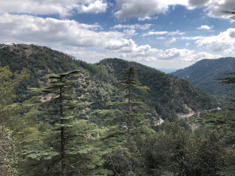 Cedar Valley, An Emerald Heart Of The Paphos Forest » Traveling Bytes