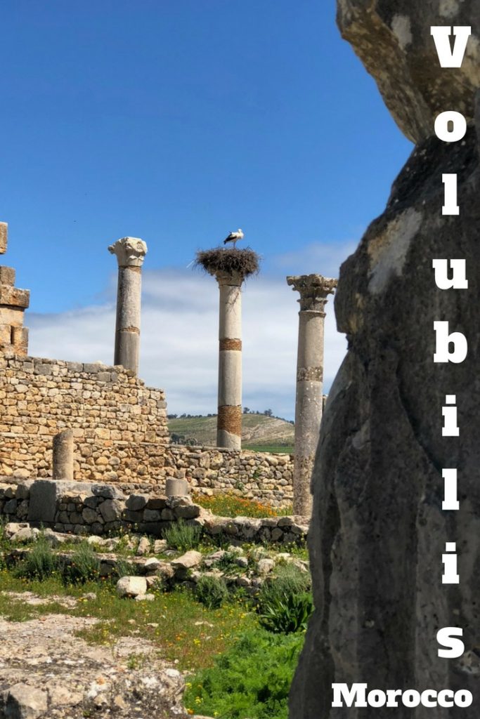 Volubilis In 10 Pictures » Traveling Bytes