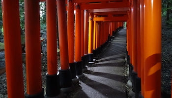 Following The Fox Through The Red Gates Into The Shadows » Traveling Bytes